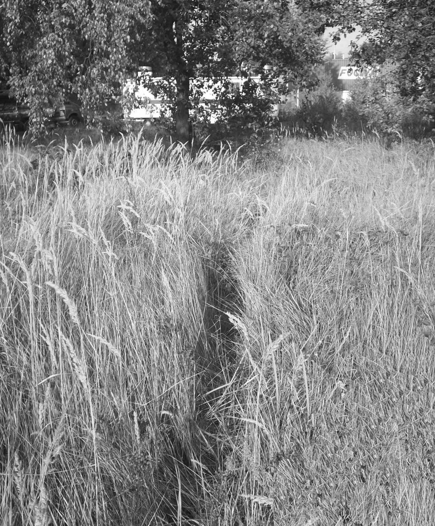 Experiment 004/2009: A line made by walking | Visual Art Research